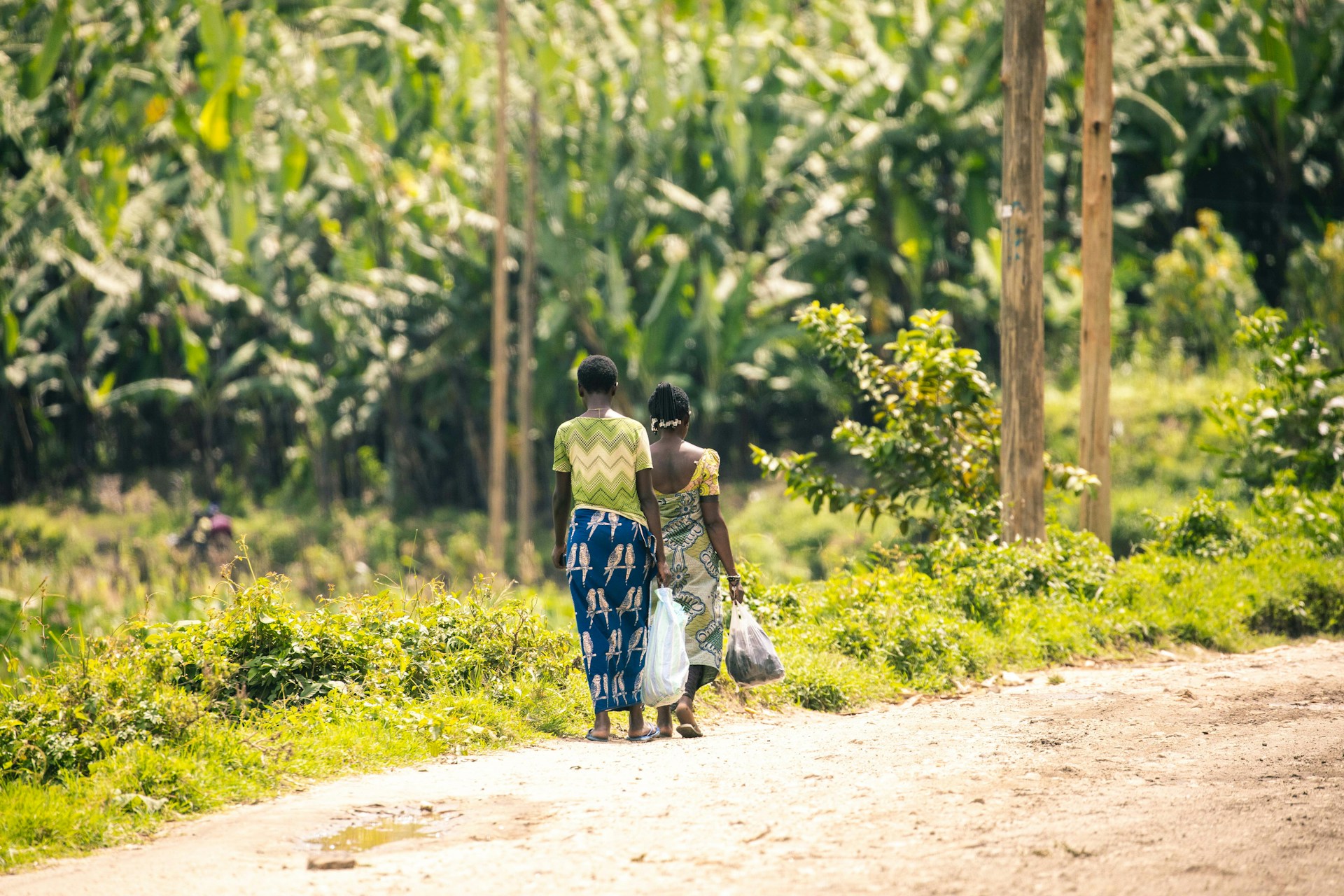 One Health Project and Participatory Action Research in the Democratic ...